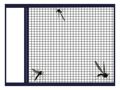 Fly Screen Door: Advantages and Disadvantages, Different Types and ...